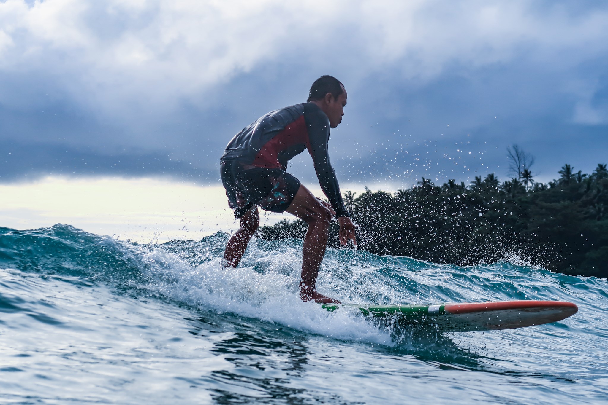 home - whalesurfing.com